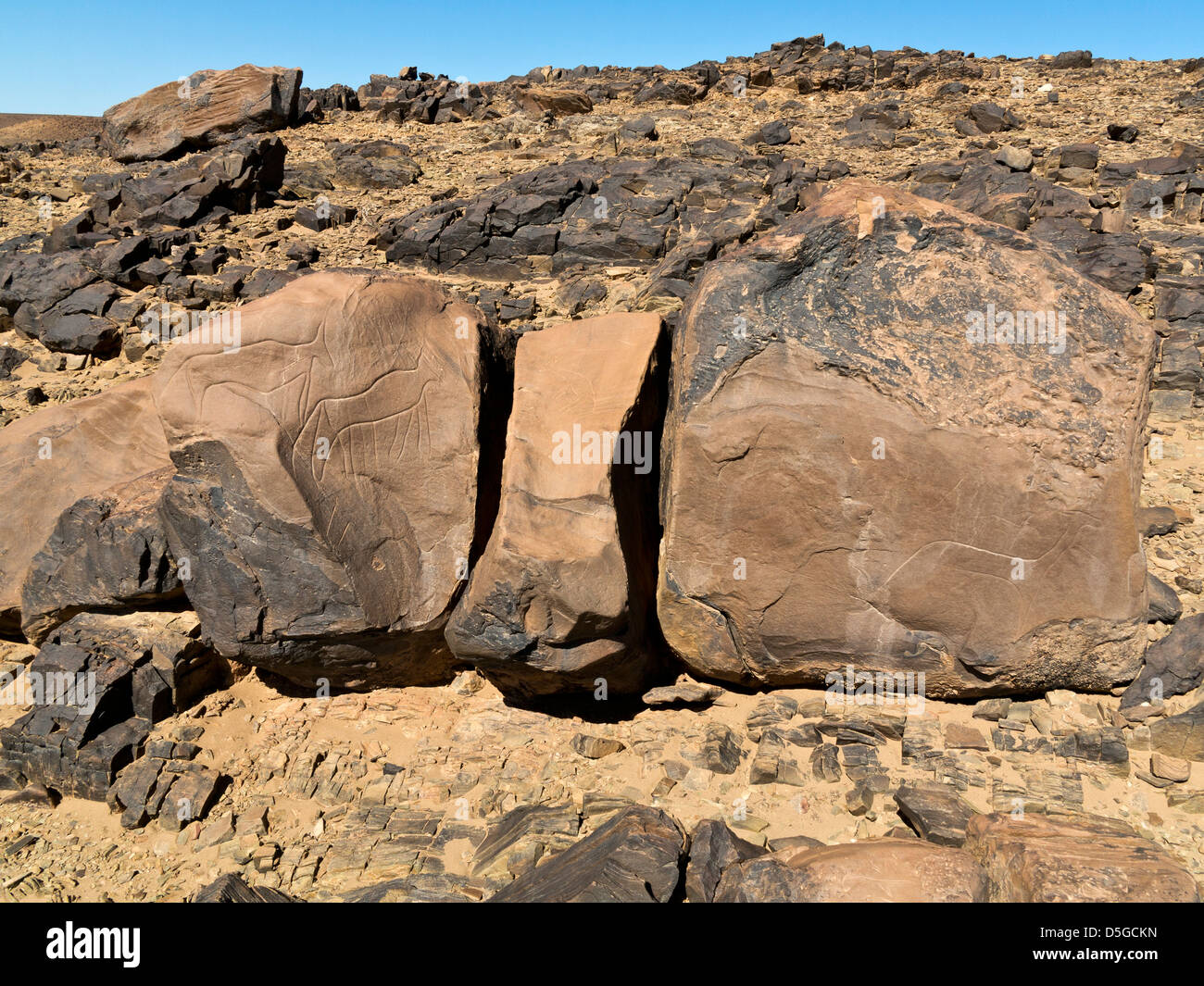 Prehistoric rock carvings at Oued Mestakou on the Tata to Akka road in ...