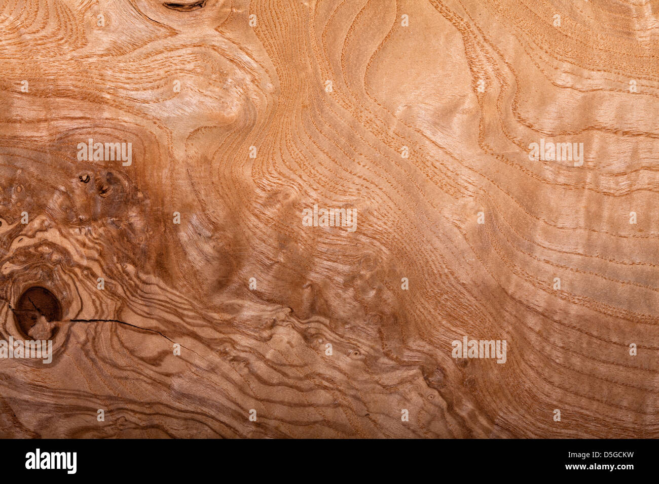 closeup image of natural wood texture Stock Photo - Alamy