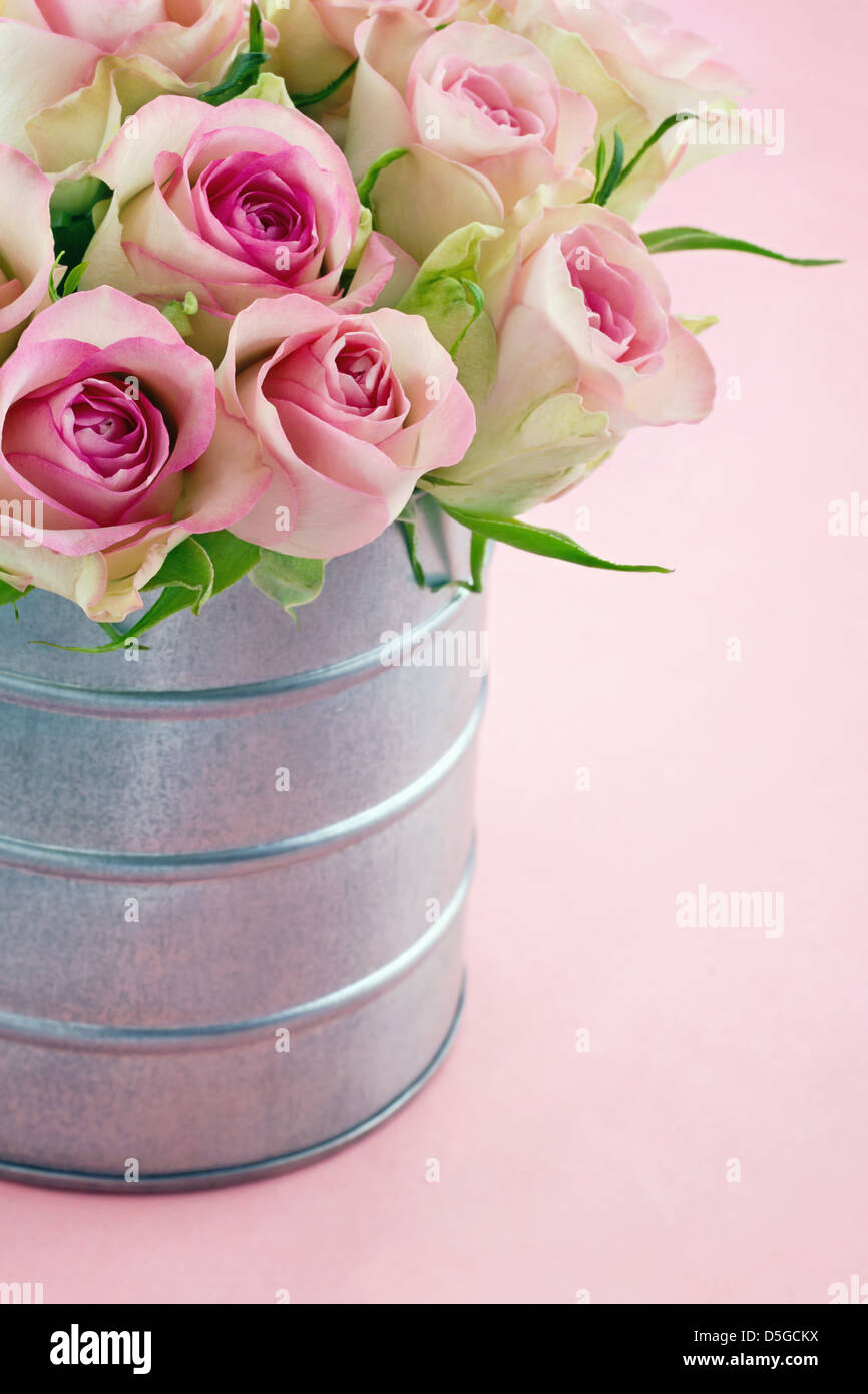 Pink roses on pastel hi-res stock photography and images - Alamy