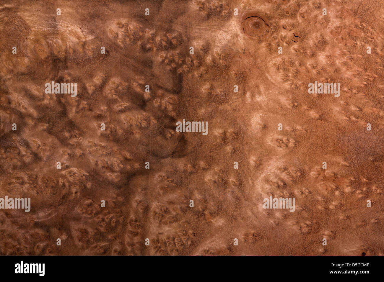 closeup image of natural wood texture Stock Photo - Alamy