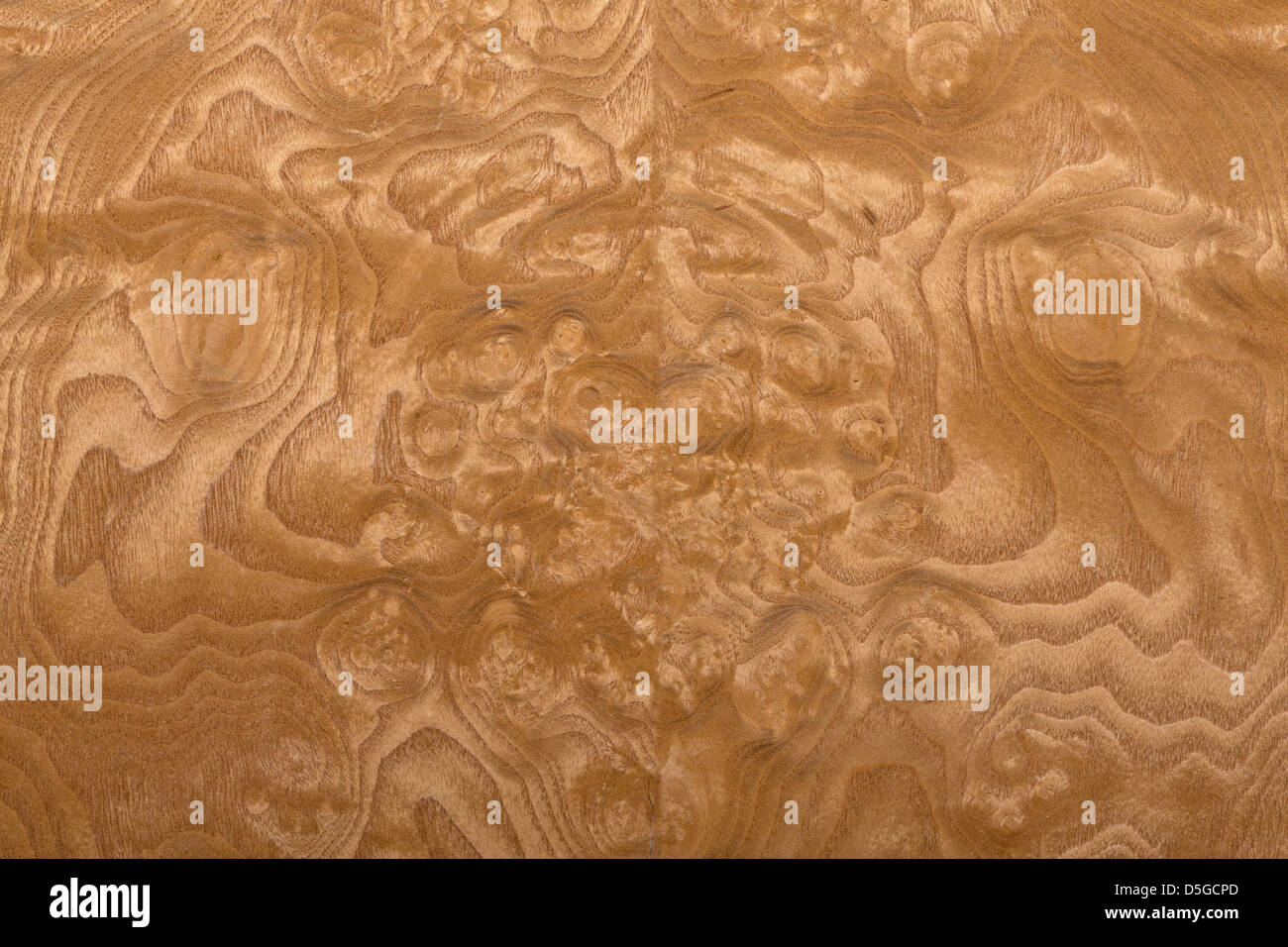 closeup image of natural wood texture Stock Photo - Alamy