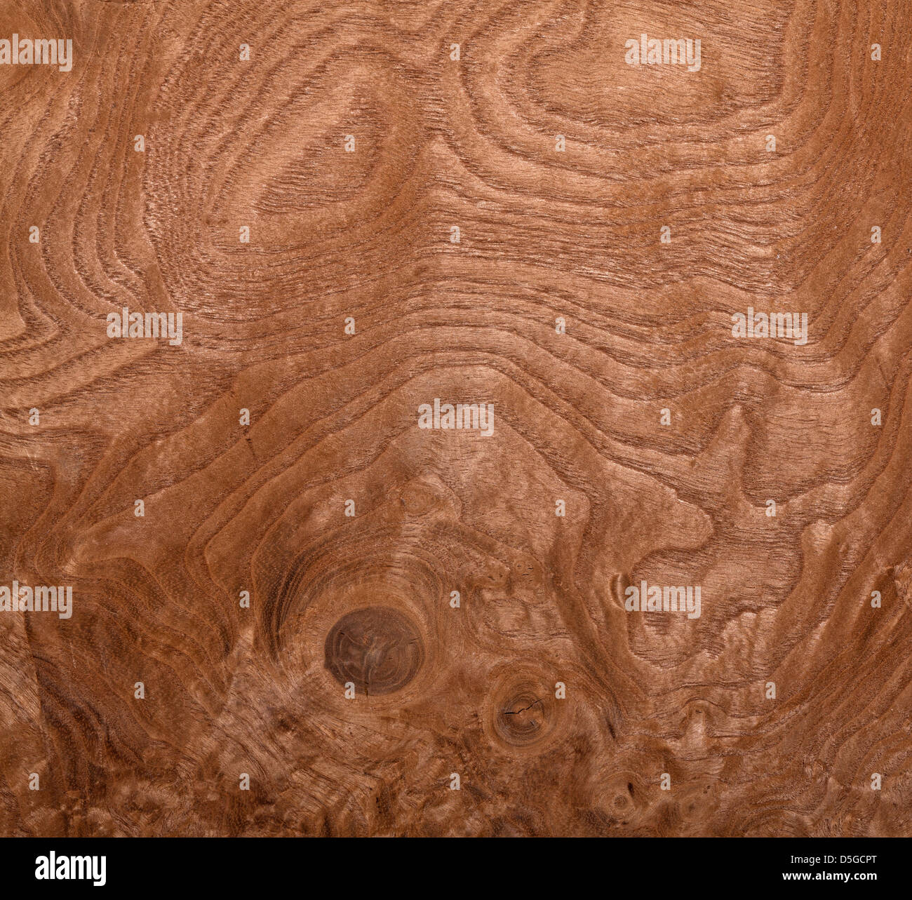 closeup image of natural wood texture Stock Photo - Alamy