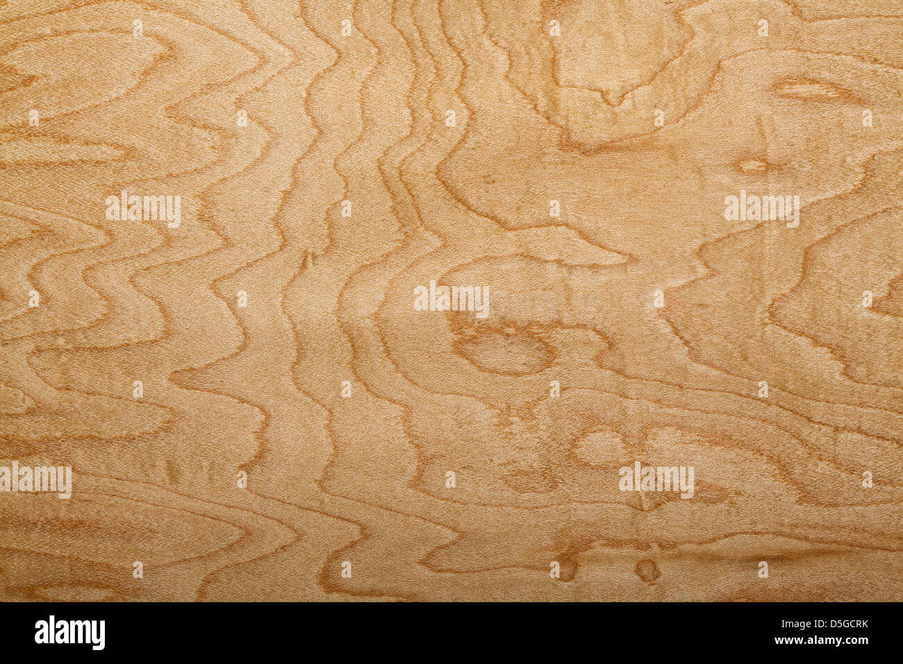 closeup image of natural wood texture Stock Photo - Alamy