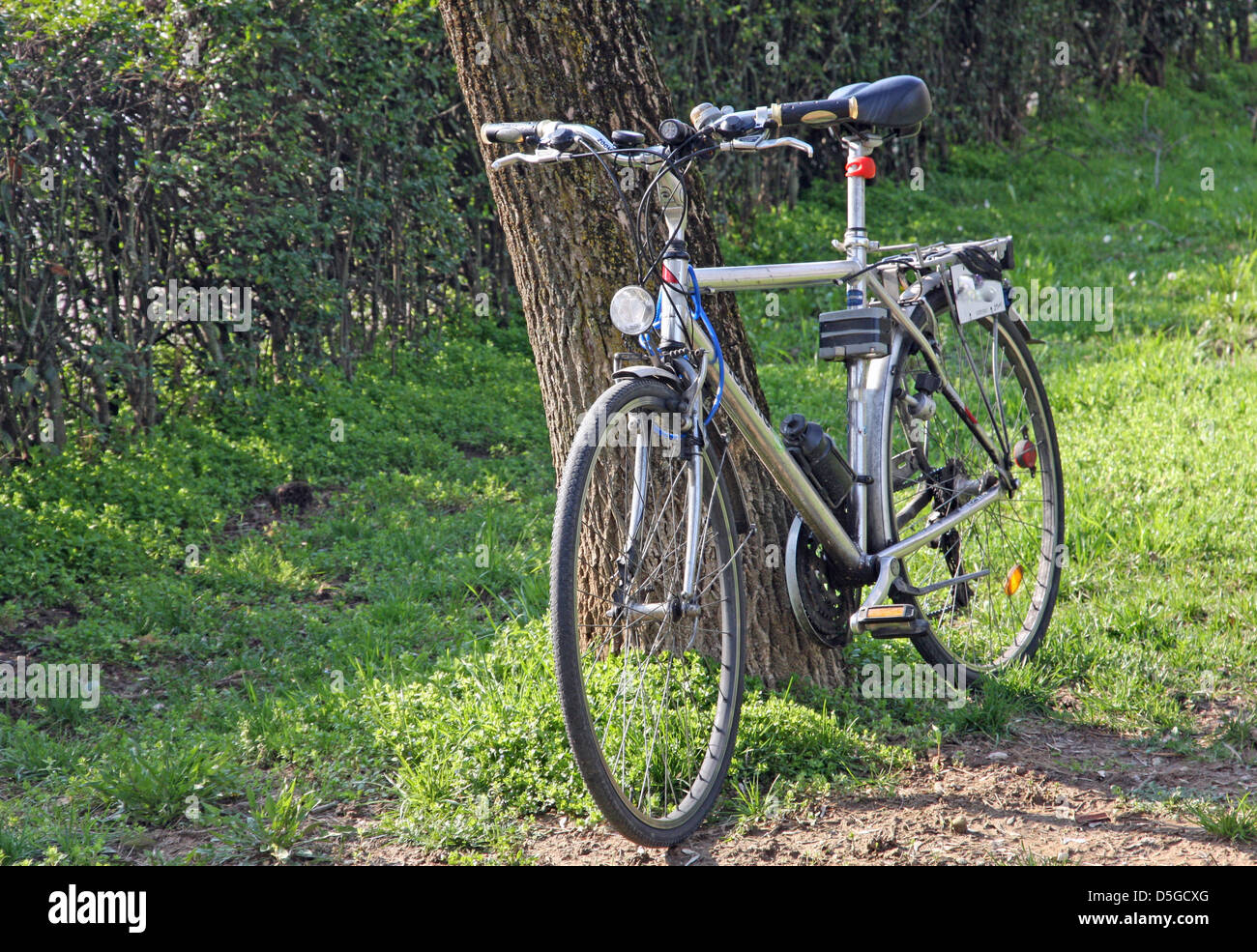 tourist bicycle leaning against a tree during a sunny day in late ...