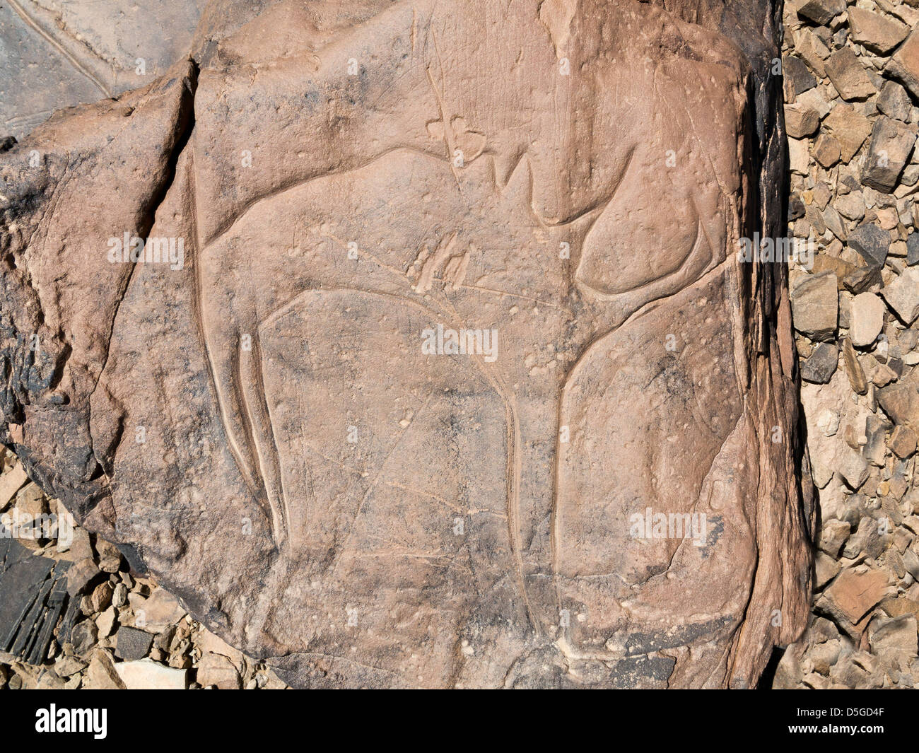 Prehistoric rock carvings at Oued Mestakou on the Tata to Akka road in ...