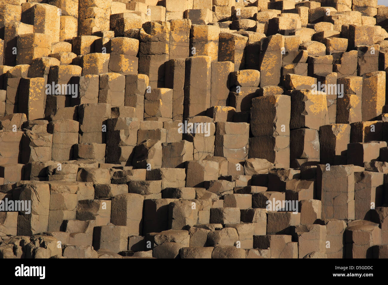 Basaltic columns from the famous Giant's Causeway - on the Antrim coast ...