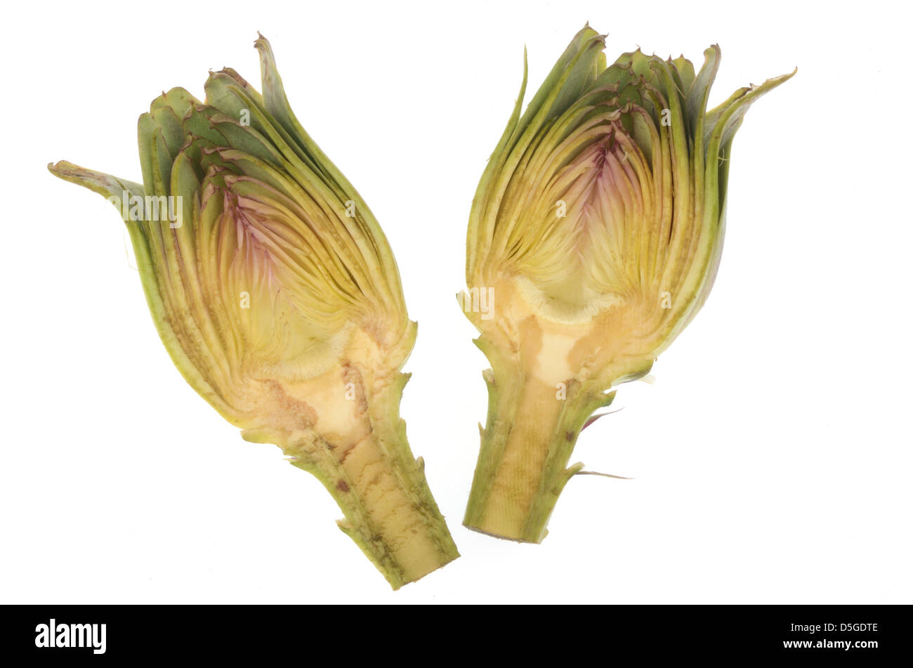 Cut into two parts hi-res stock photography and images - Alamy