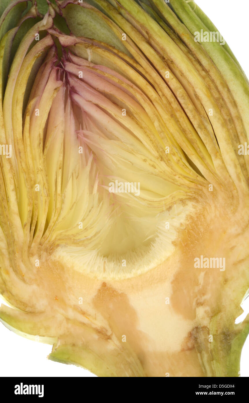 Cut detail hi-res stock photography and images - Alamy