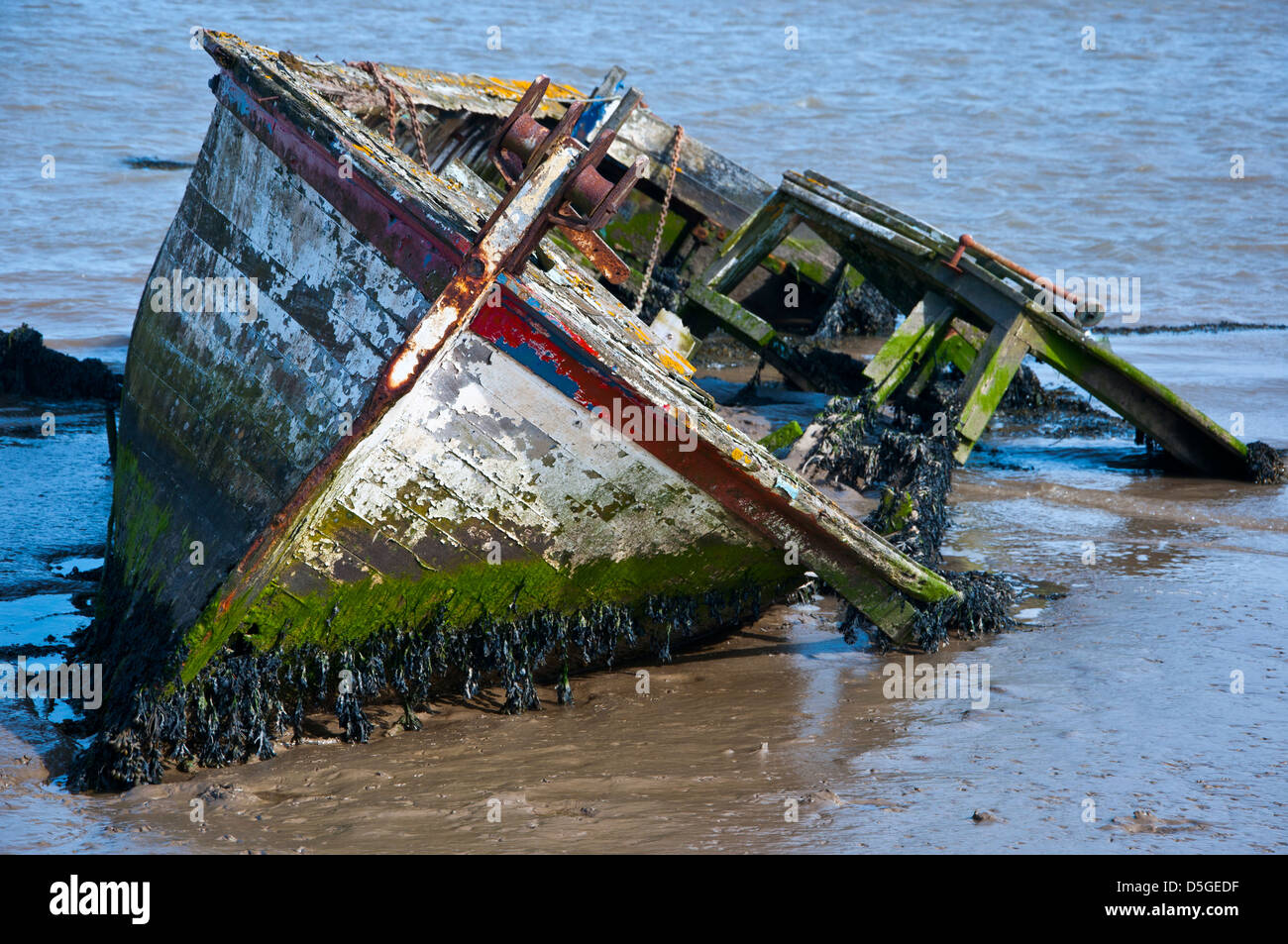Wreak of rotting boat Stock Photo - Alamy
