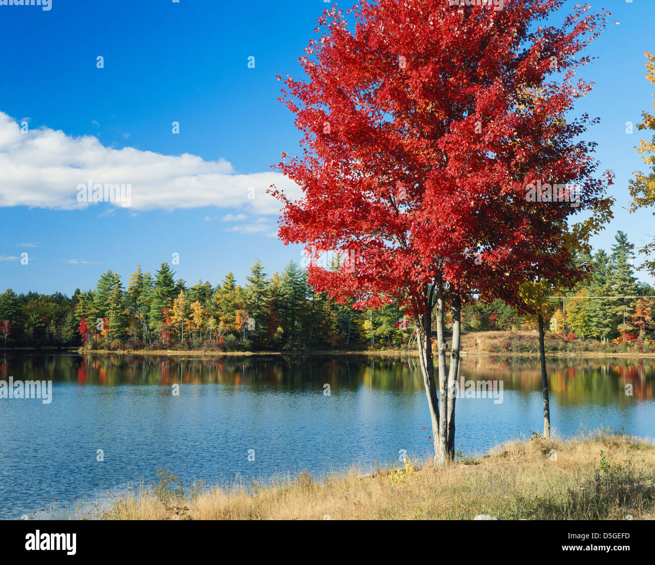 The mill pond hi-res stock photography and images - Alamy