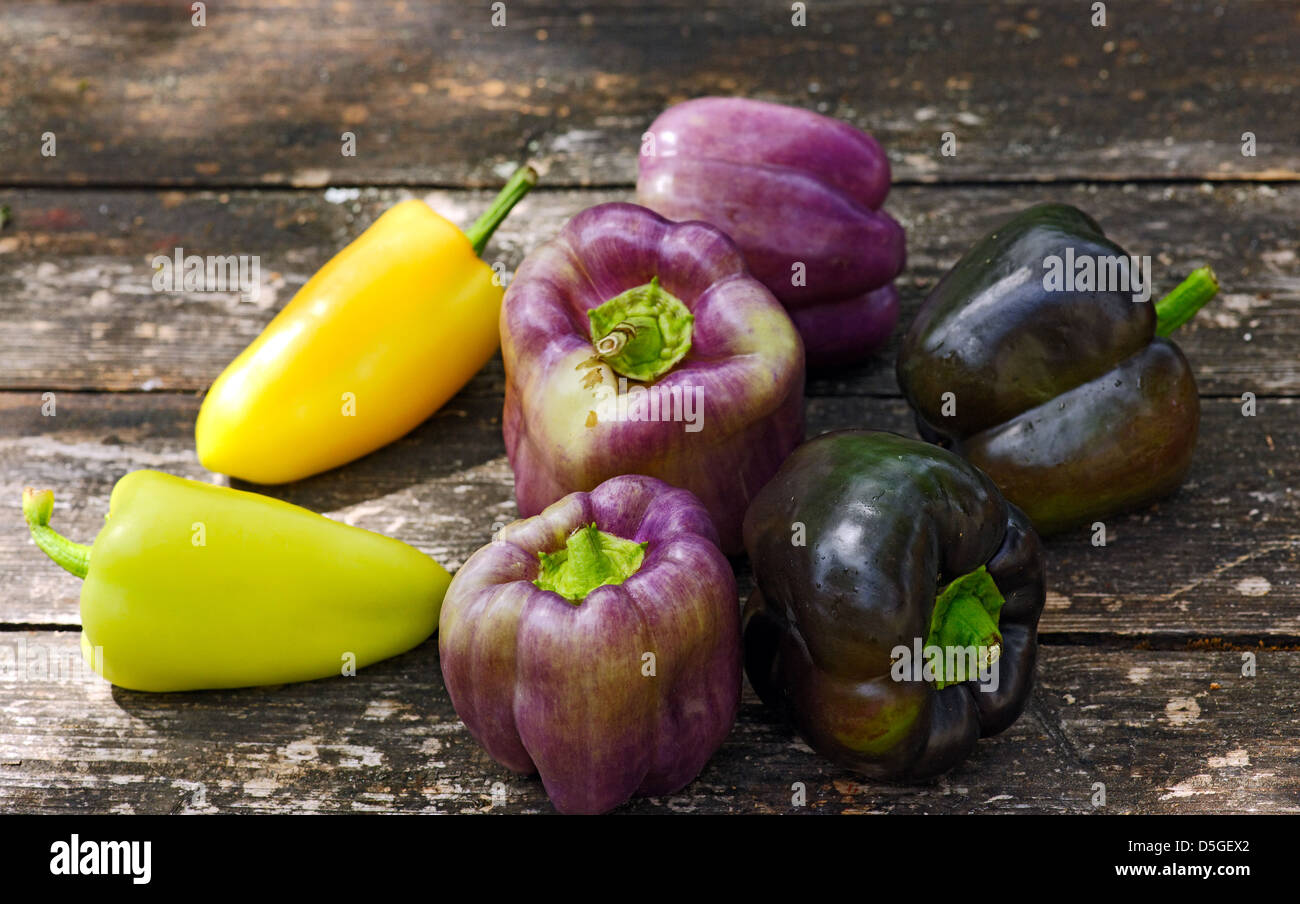 Yellow chillies and purple peppers, France Stock Photo - Alamy