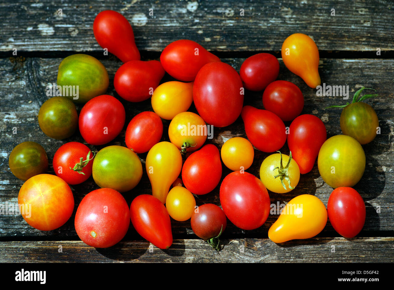 Tomatoes variety hi-res stock photography and images - Alamy