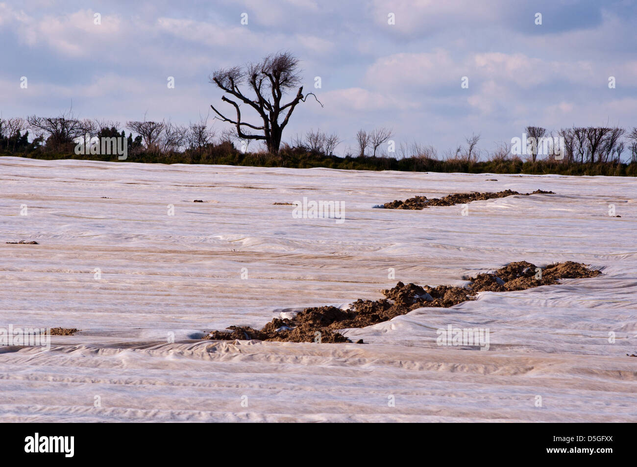 Field covers hi-res stock photography and images - Alamy