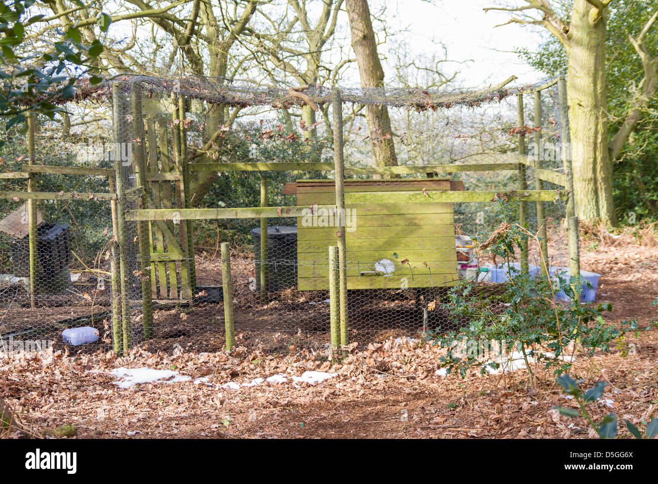 Small pen for rearing young pheasants Stock Photo - Alamy