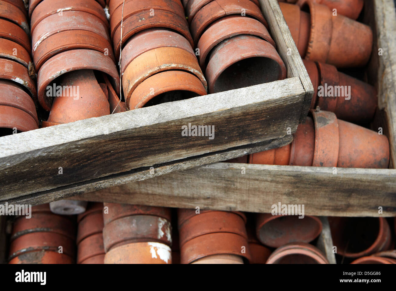 Terra cotta container pot hi-res stock photography and images - Alamy