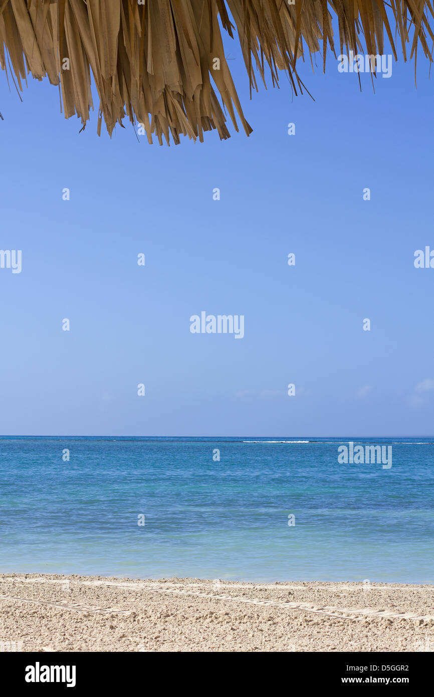 Tropical water backdrop hi-res stock photography and images - Alamy