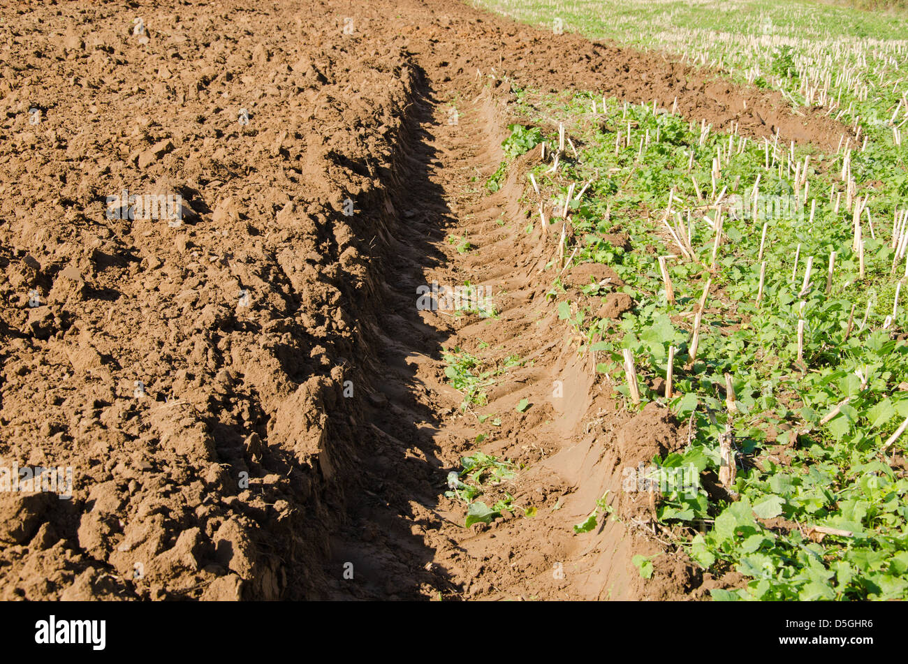 tractor wheel mark trail on soil of agricultural plow field Stock Photo ...