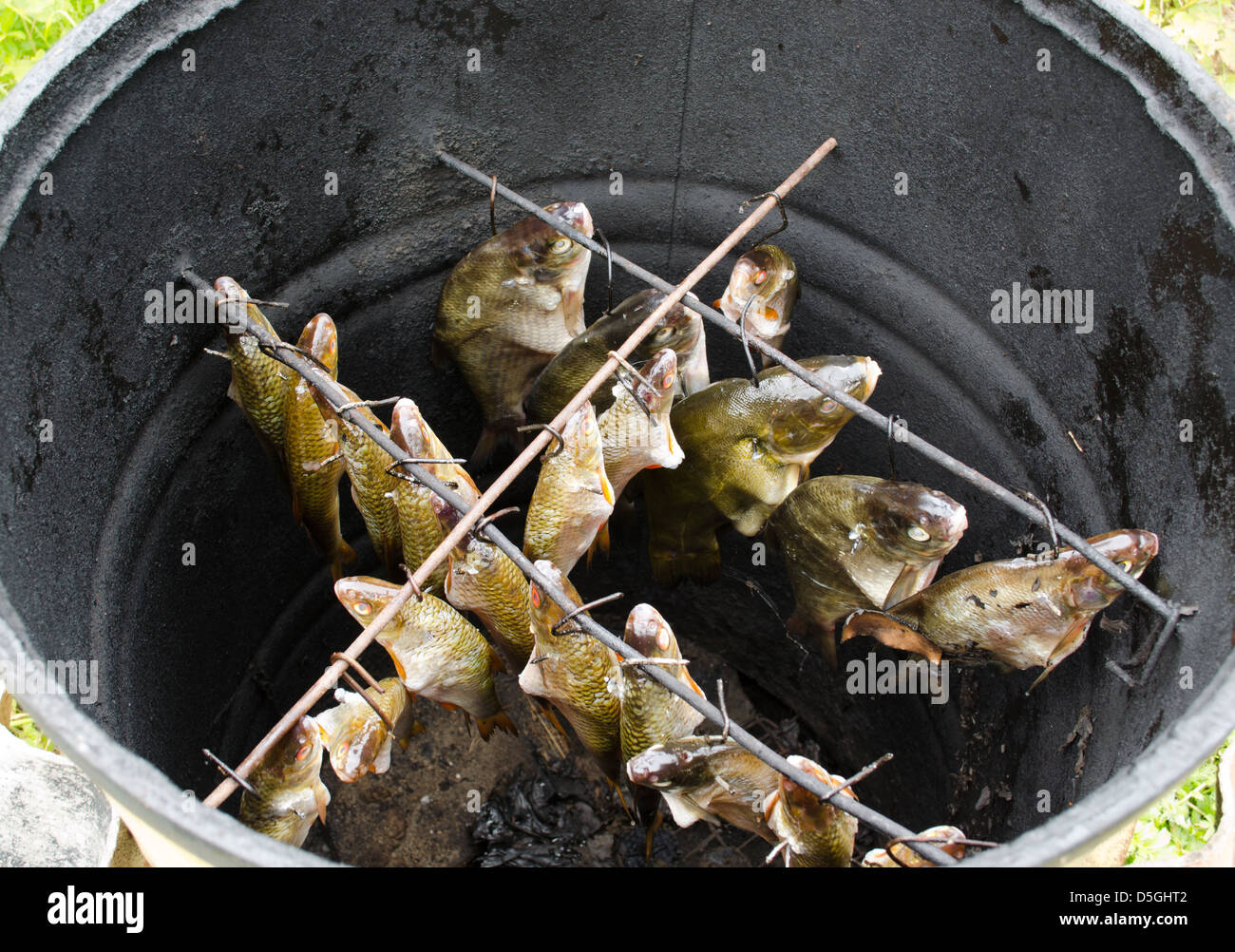 freshly salted bream tench roach fish hanging in handmade smoke house ...