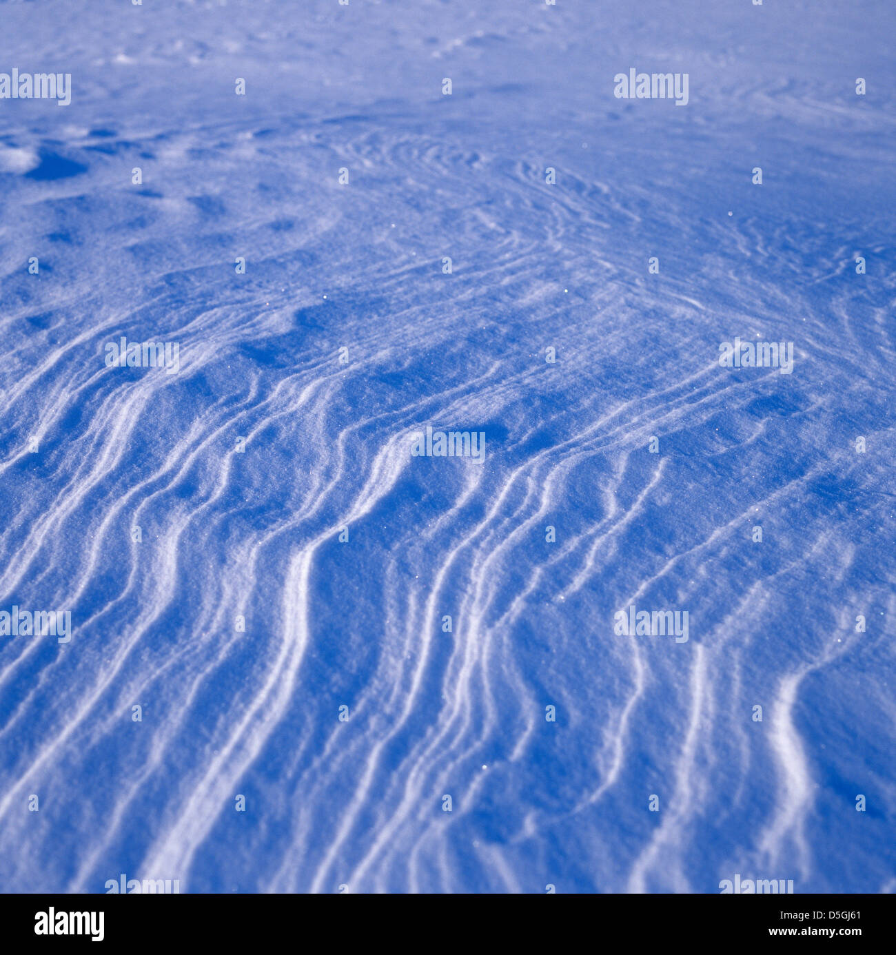 Frozen snow crust Stock Photo - Alamy