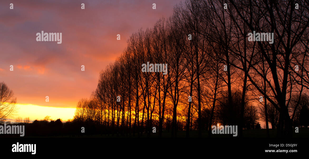 Essex landscape hi-res stock photography and images - Alamy