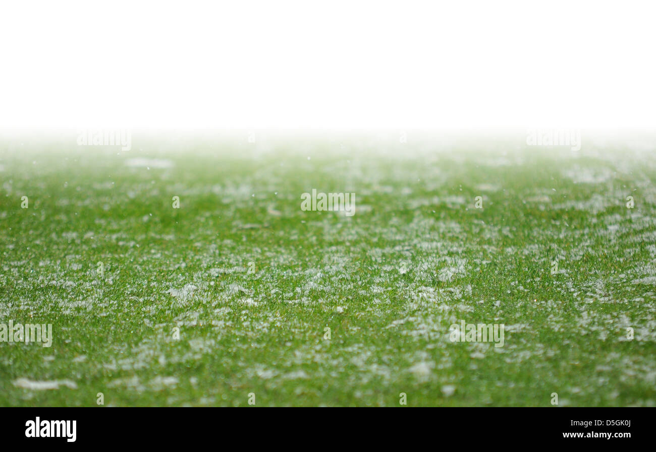 Football pitch grass cutting hi-res stock photography and images - Alamy