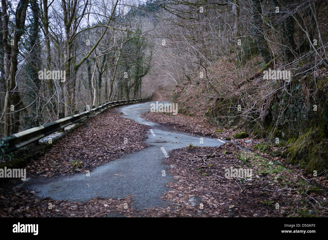 A stretch of abandoned A494 trunk road, overgrown and and being ...