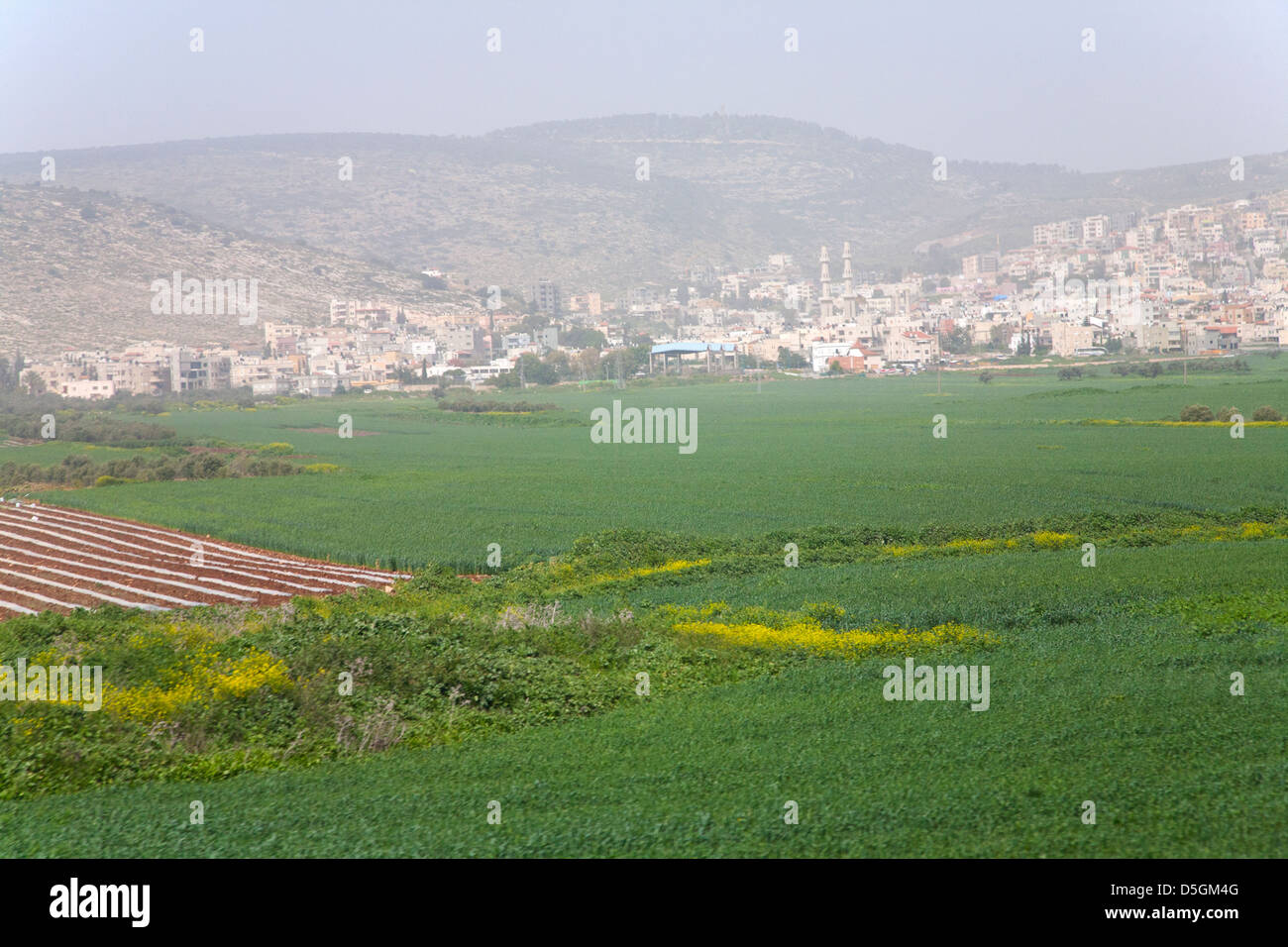 Galilee region hi-res stock photography and images - Alamy