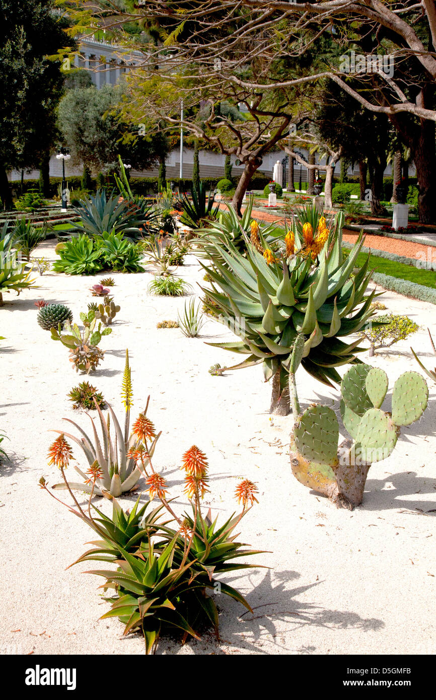 The Bahai gardens, Haifa, Israel, Middle East Stock Photo - Alamy