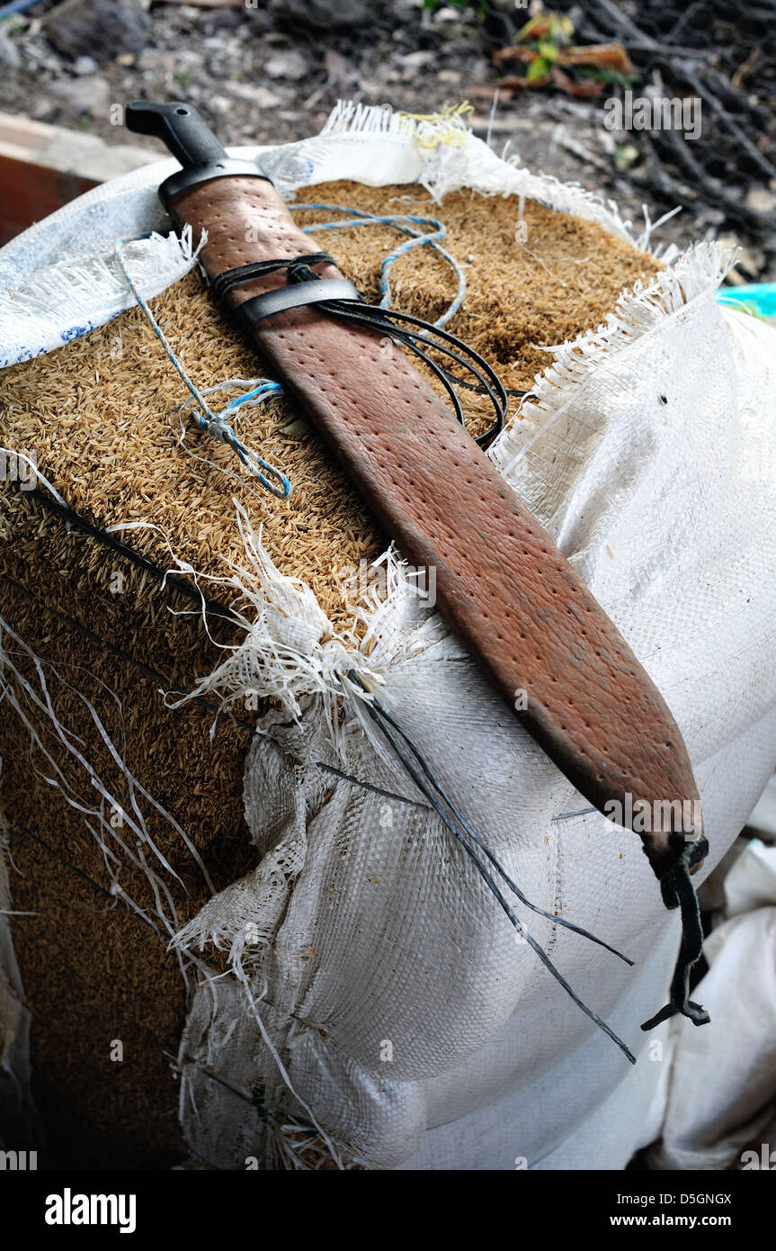 Machete on farm in RIVERA . Department of Huila. COLOMBIA Stock Photo ...