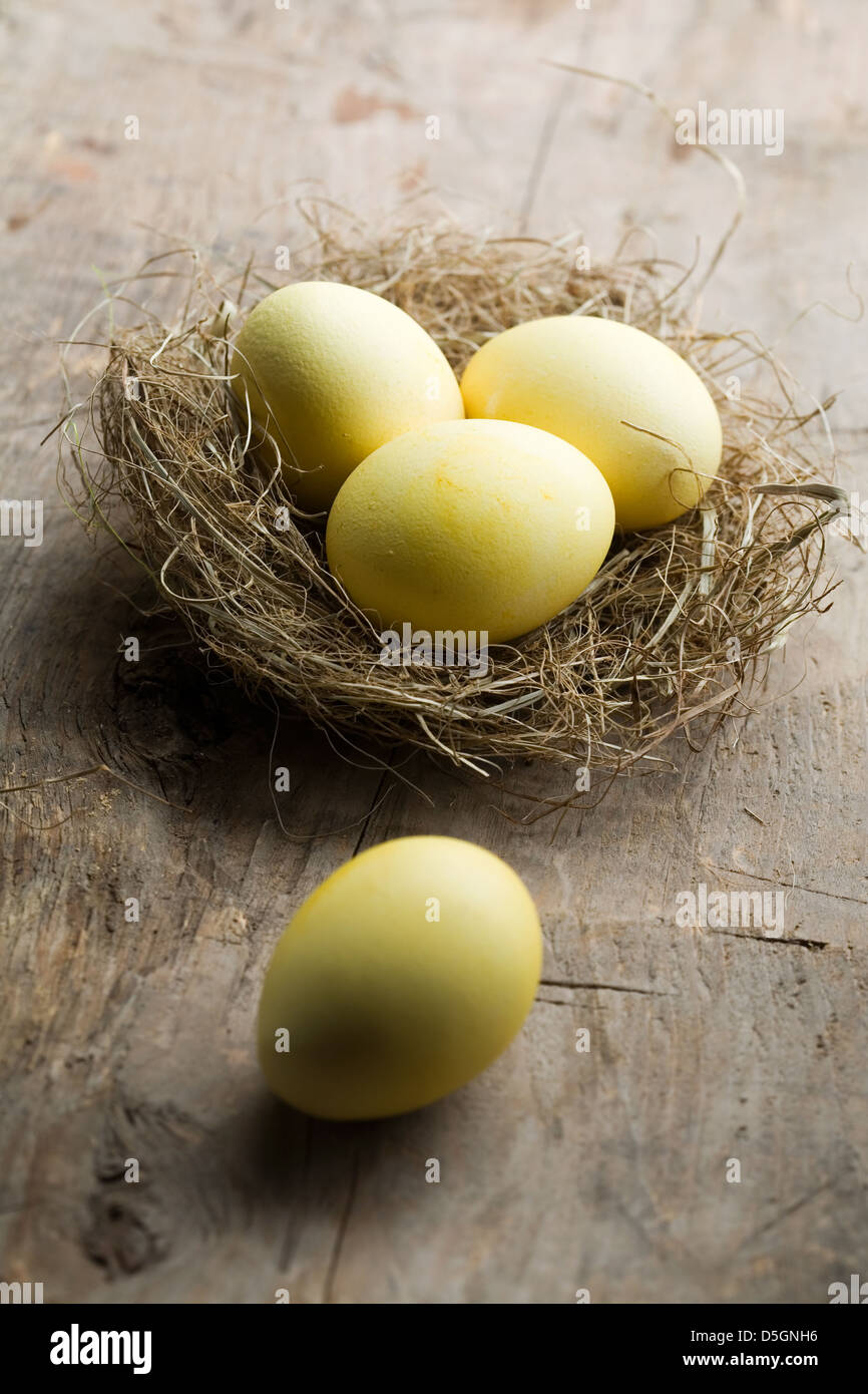 Yellow easter eggs in little bird nest Stock Photo - Alamy