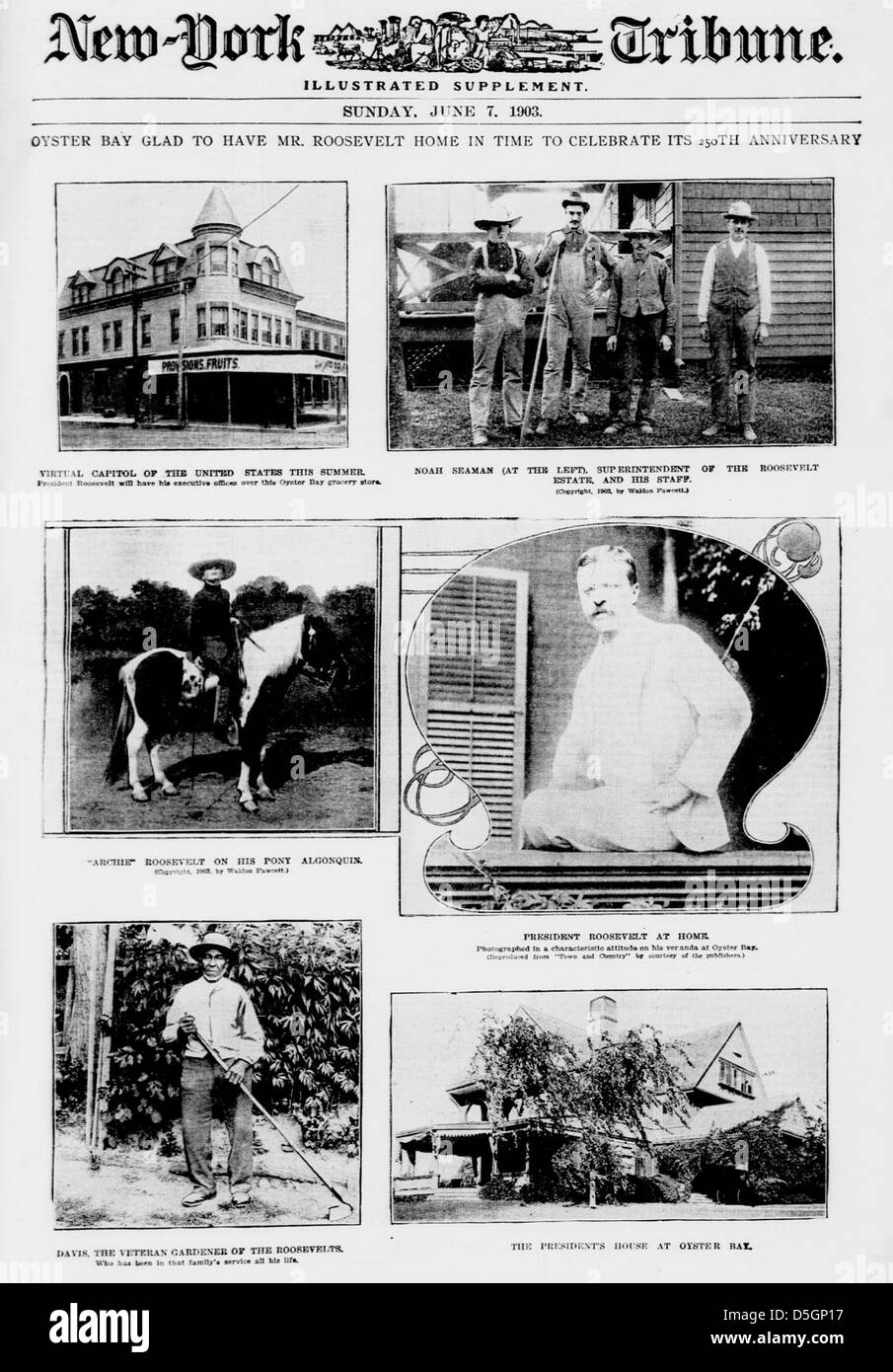 President Theodore Roosevelt Tr Teddy Roosevelt Theodore Roosevelt Dc ...