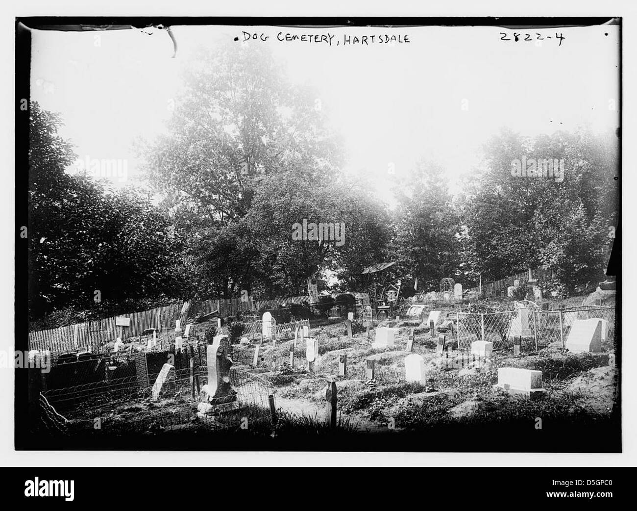 This image shows the Hartsdale Dog Cemetery, a well-known pet cemetery ...
