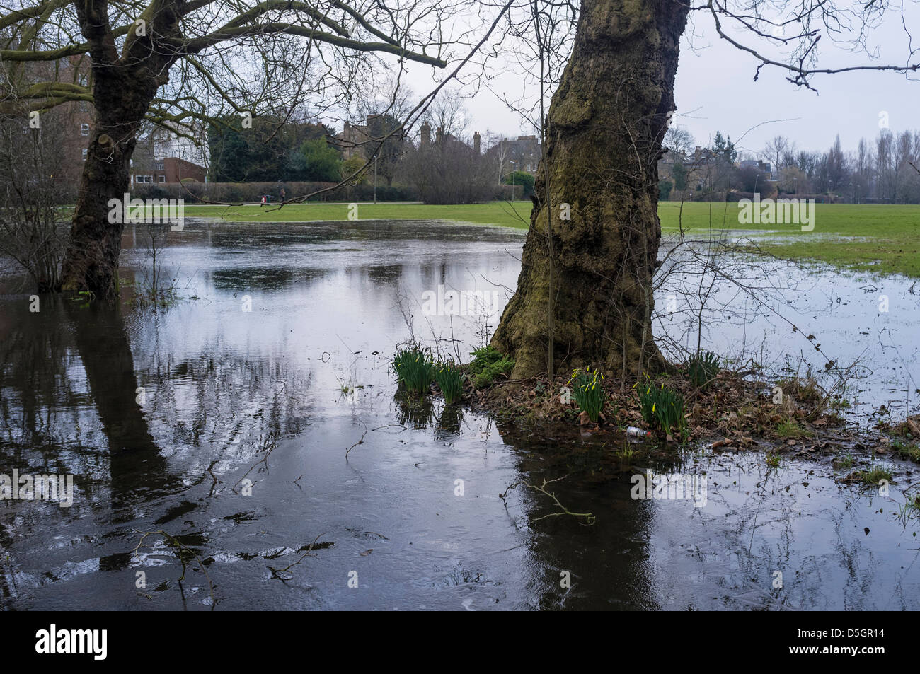 Waterlogged hi-res stock photography and images - Alamy