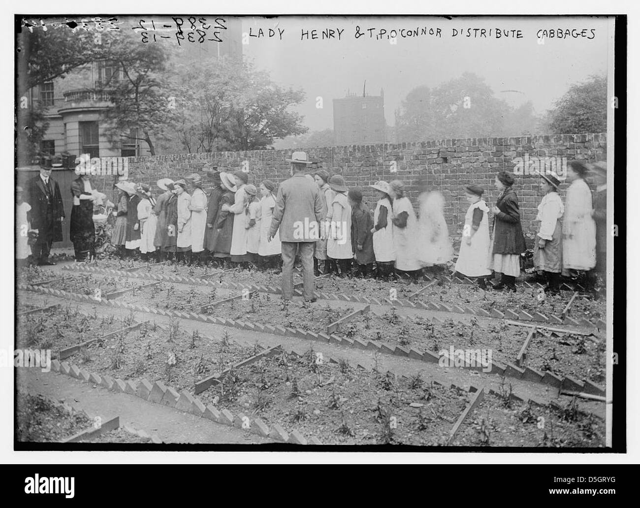 Lady Henry and T.P. O'Connor distribute cabbages (LOC Stock Photo - Alamy