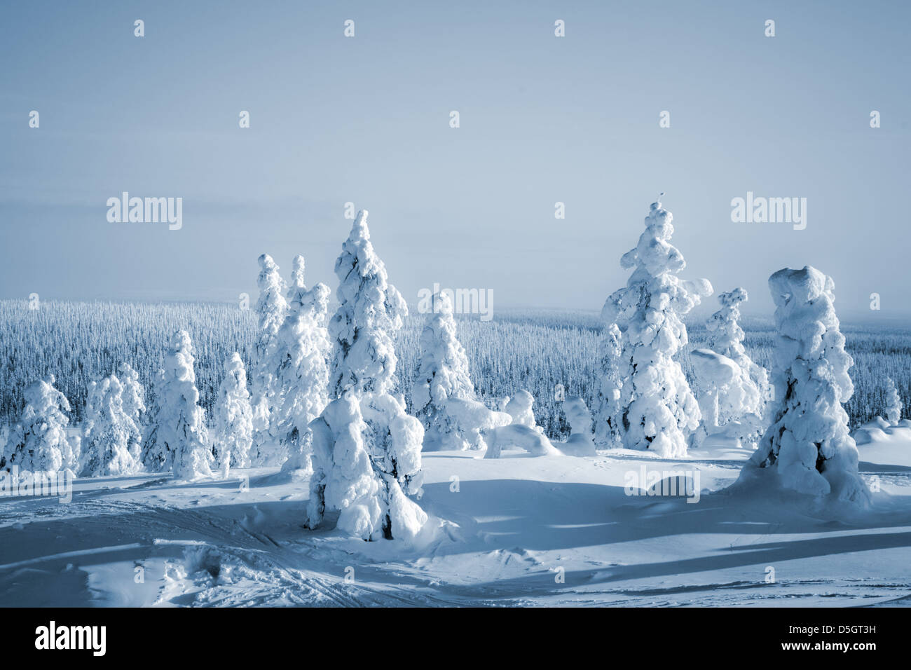 Beautiful winter landscape in light blue tone Stock Photo - Alamy