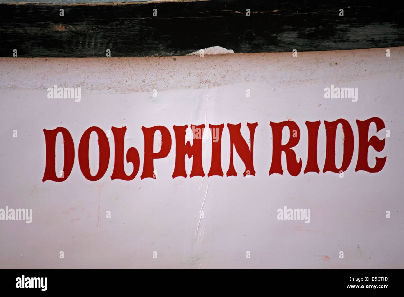 Dolphin Ride Written Stock Photo - Alamy