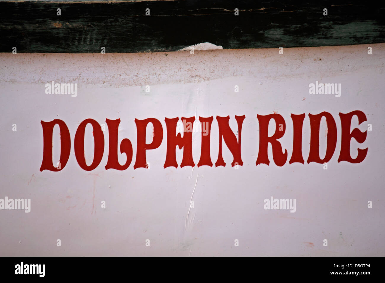 Dolphin ride hi-res stock photography and images - Alamy