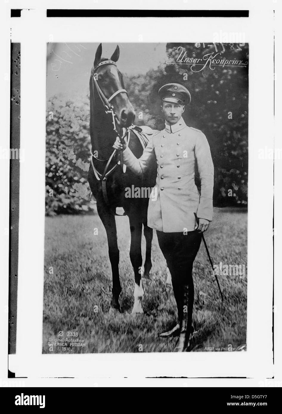 Crown prince wilhelm prussia his horse hi-res stock photography and ...