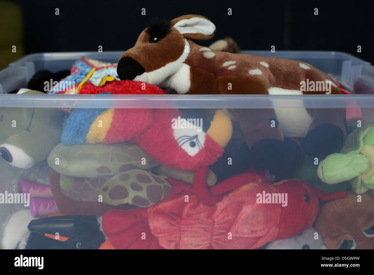 Stuffed_animals hi-res stock photography and images - Alamy