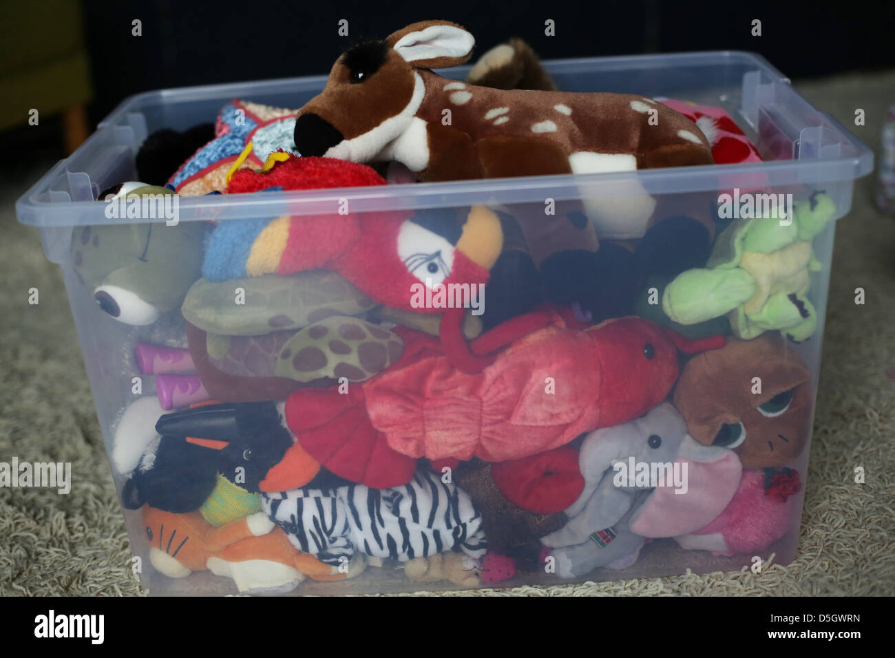 A clear plastic box full of stuffed animals Stock Photo - Alamy