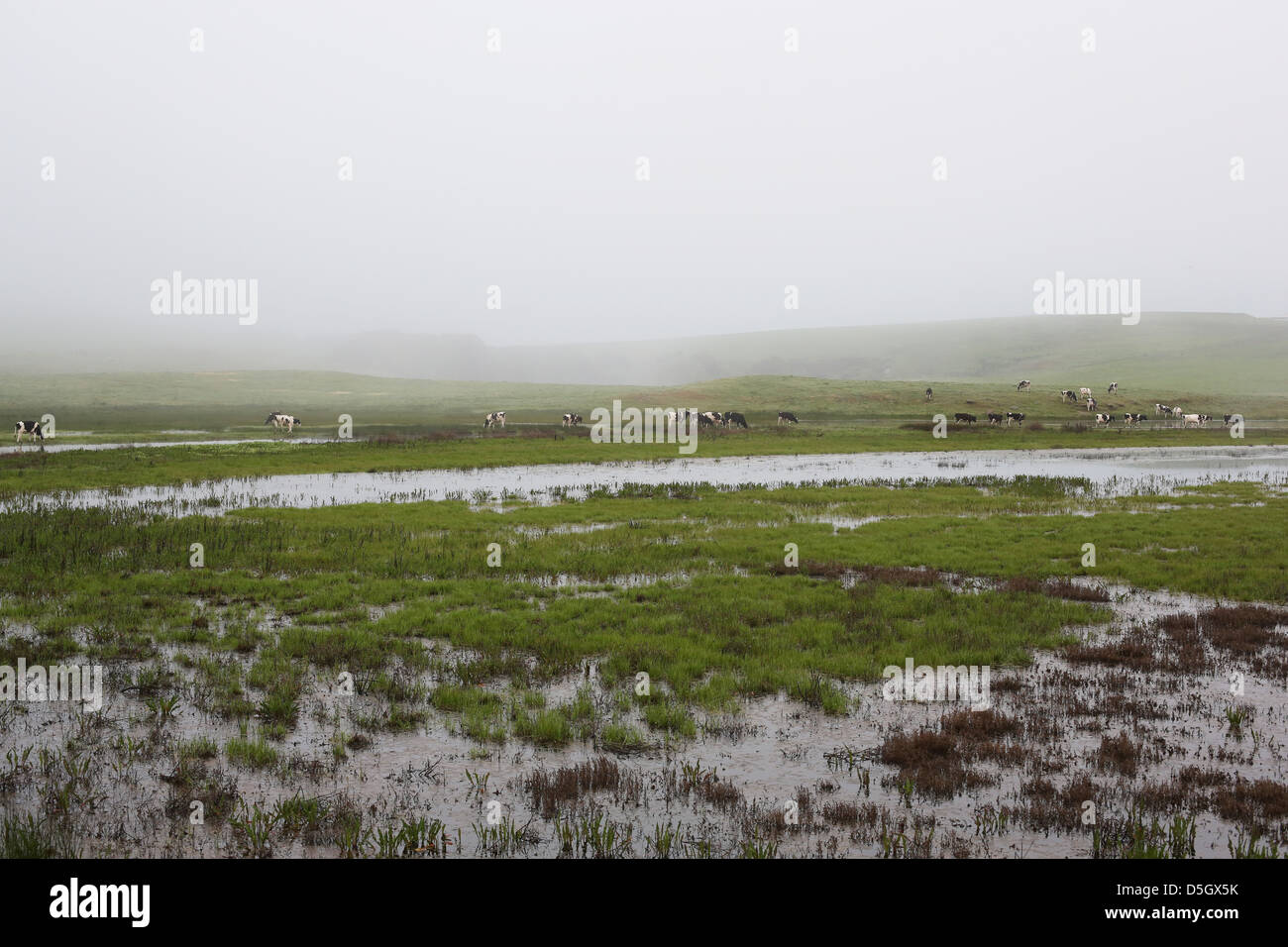 A foggy ranch in rural Sonoma County, California Stock Photo - Alamy