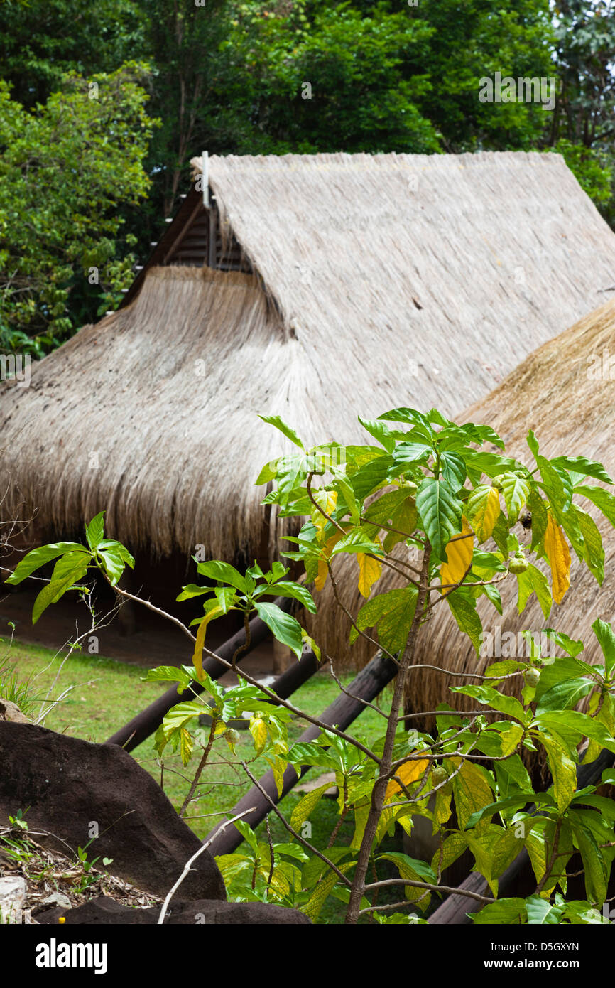Dominica, Kalinago Barana Aute, Carib Heritage Village, thatched roof ...