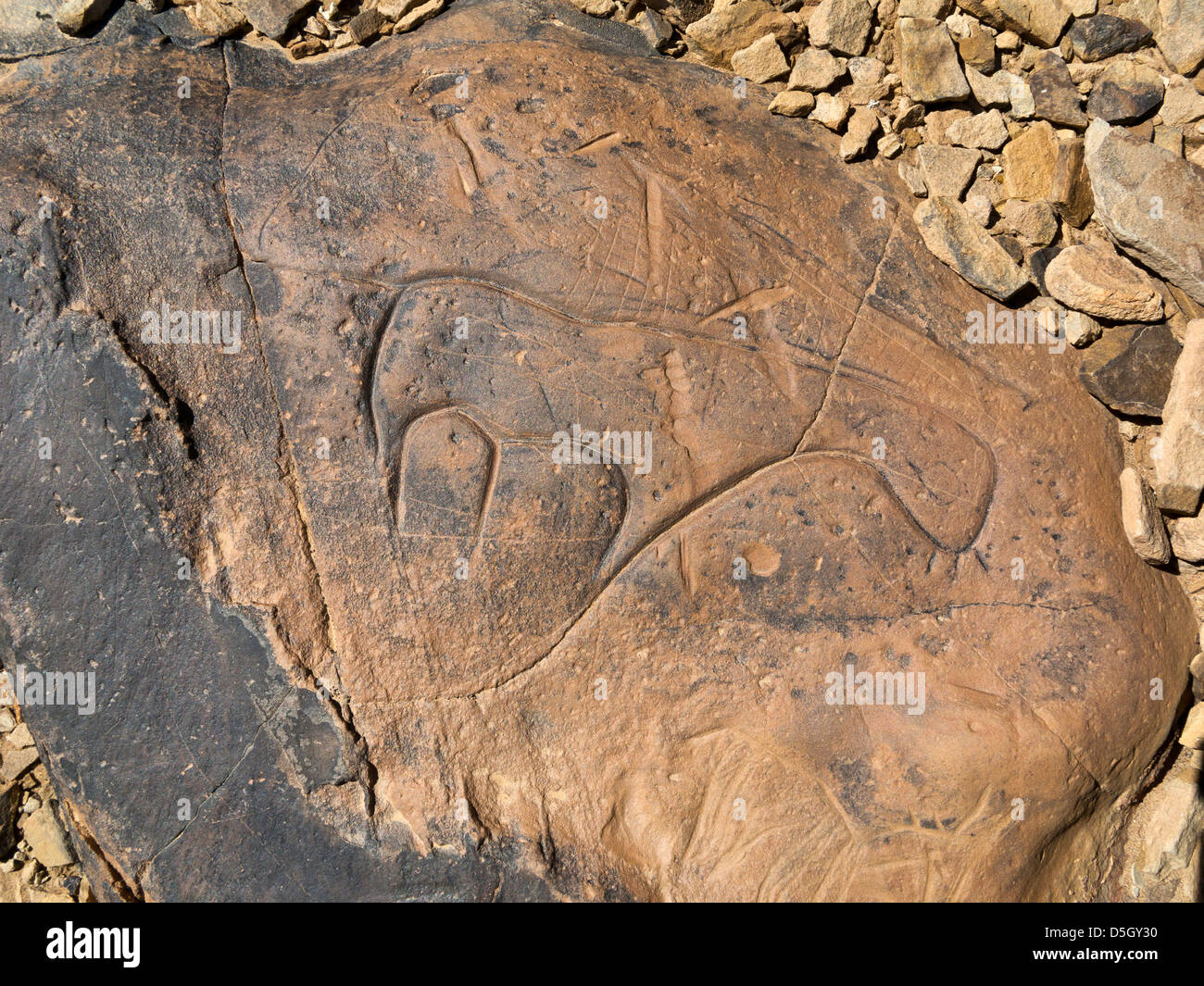 Prehistoric rock carvings at Oued Mestakou on the Tata to Akka road in ...