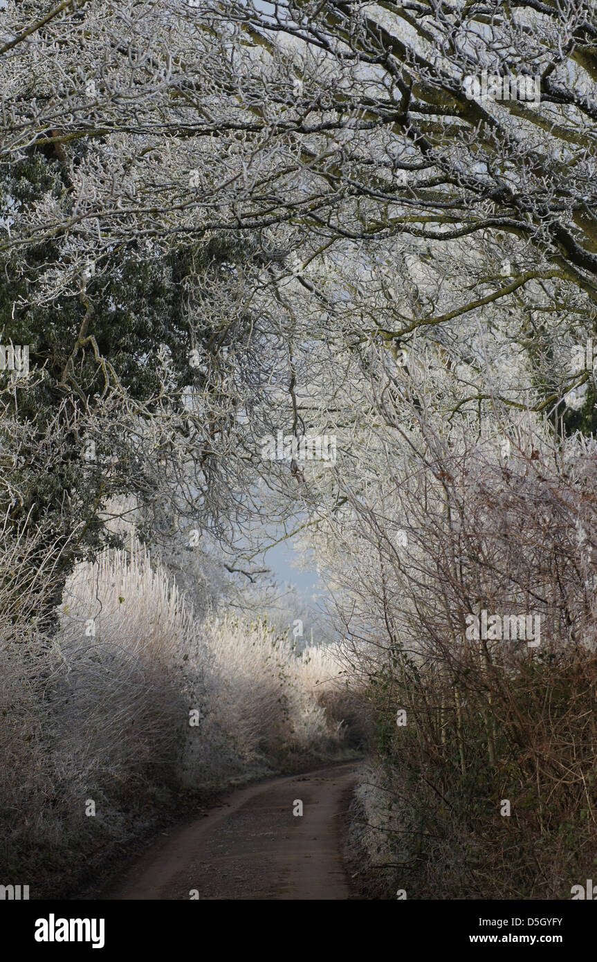 Lane frost hi-res stock photography and images - Alamy