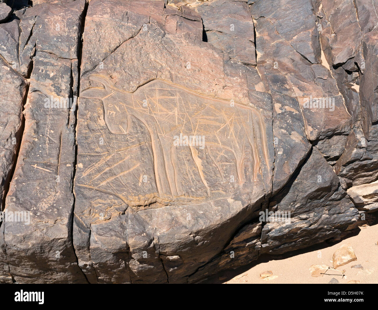 Prehistoric rock carvings at Oued Mestakou on the Tata to Akka road in ...
