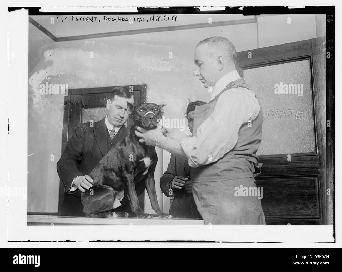 First city hospital Black and White Stock Photos & Images - Alamy