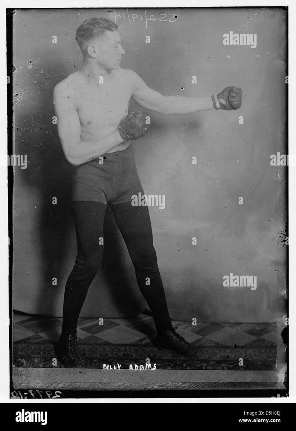 Billy Adams, a boxer, is featured in this historical photograph. Known ...