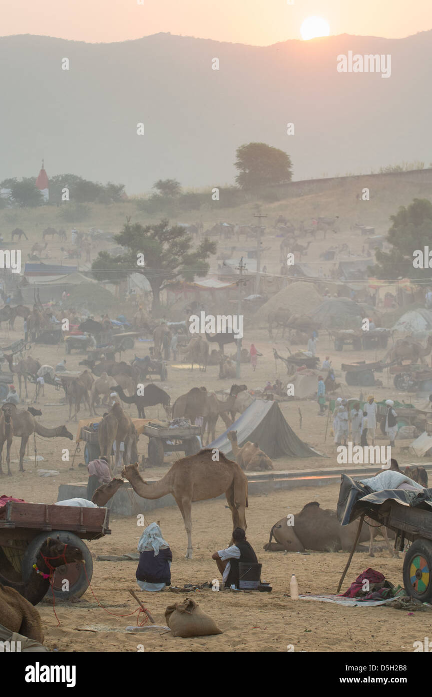 Looking across a sea of camels and tents in the smokey camping ground ...