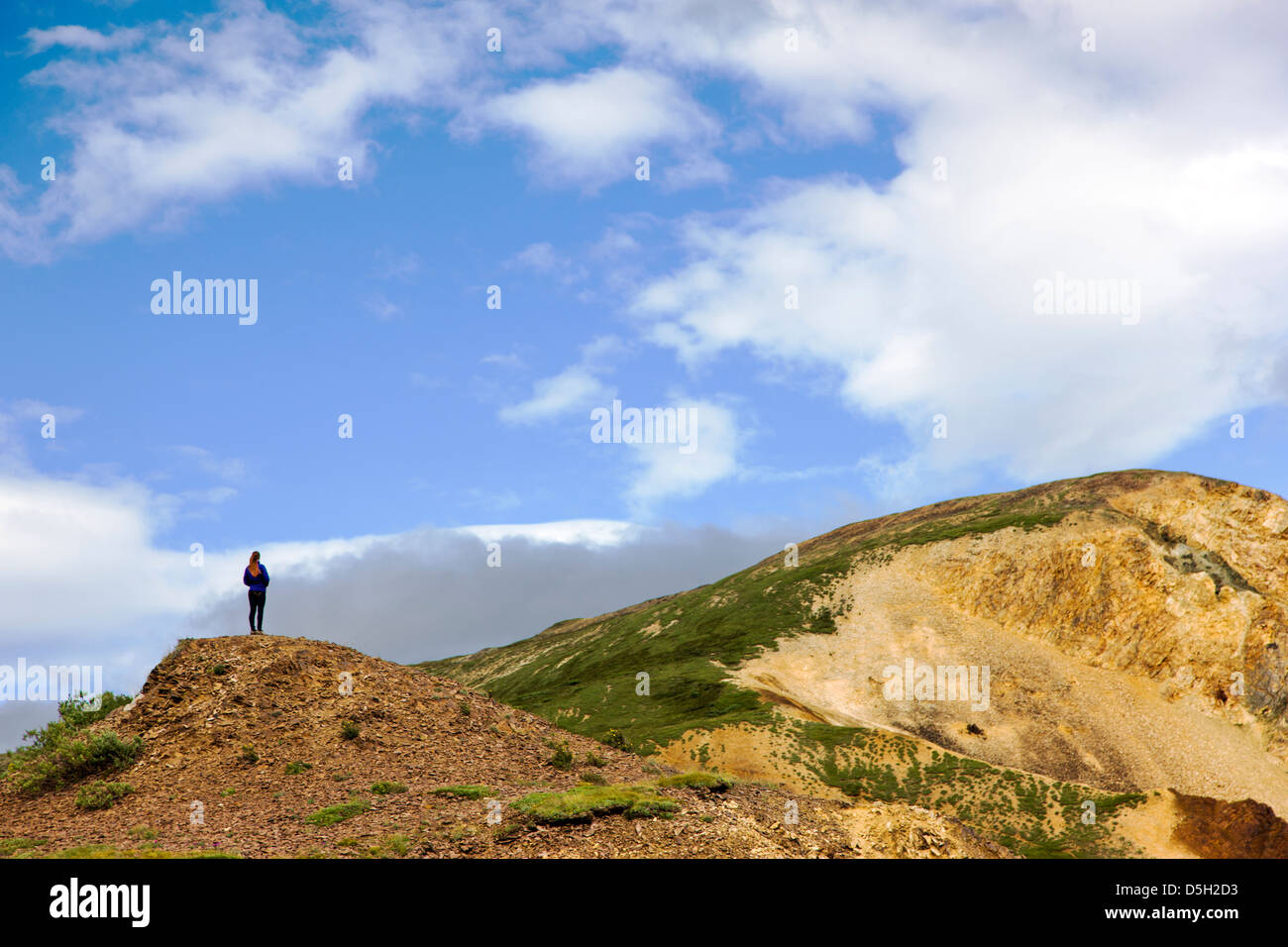 Lone female park visitor enjoying the view at Polychrome Overlook ...