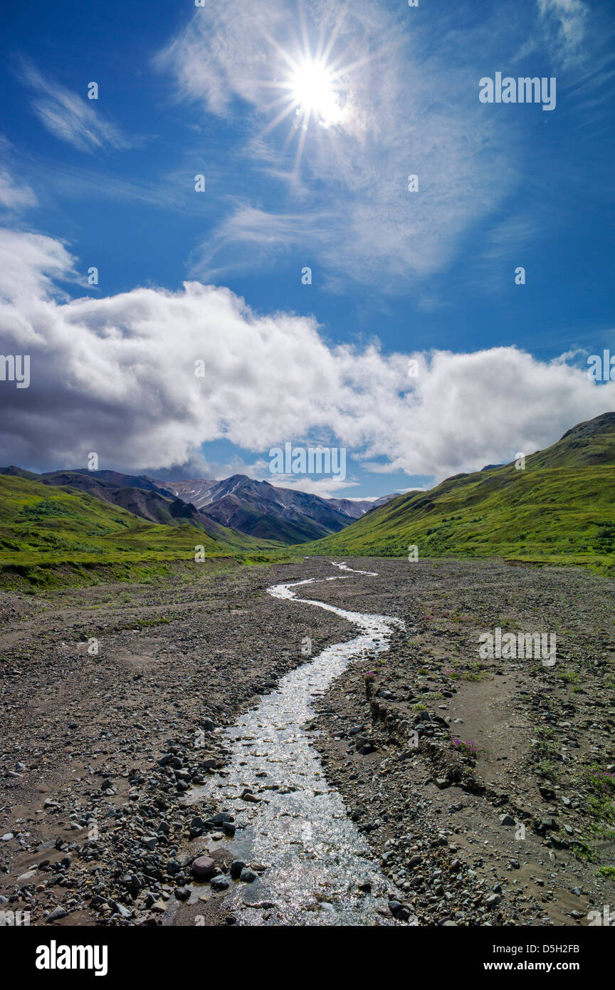 Snow melt from the Alaska Range feeds a small stream, Denali National ...